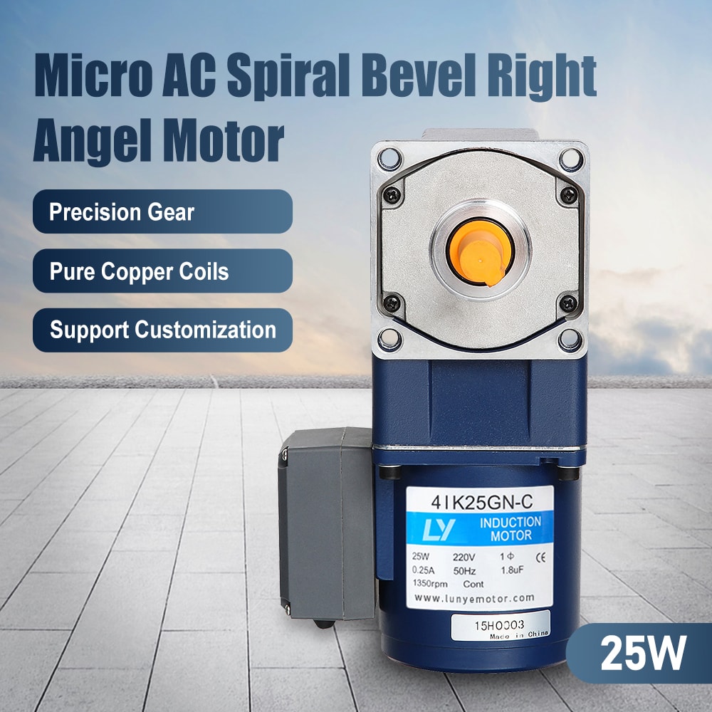 3W AC Induction Gear Motor