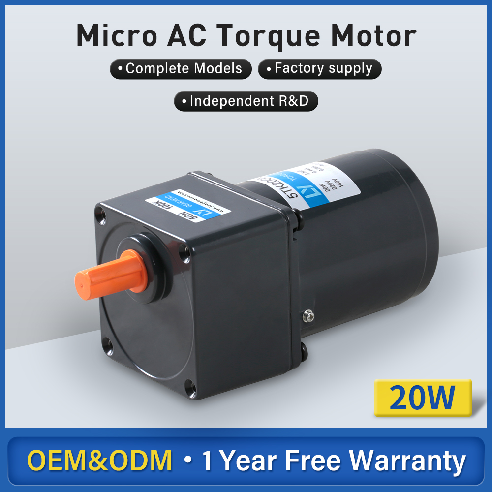 20W Micro AC Low RPM High Torque Motor